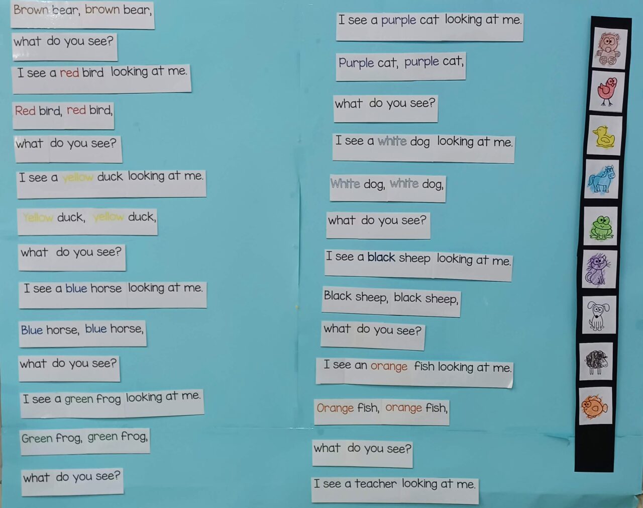 sense of sight Activities - NBpreKactivities