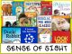 sense of sight Activities - NBpreKactivities