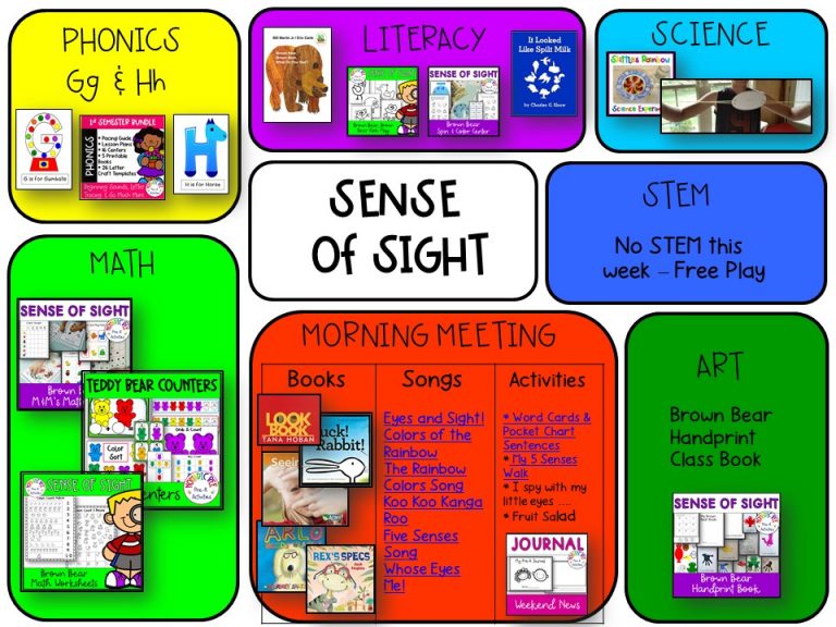 sense of sight Activities - NBpreKactivities