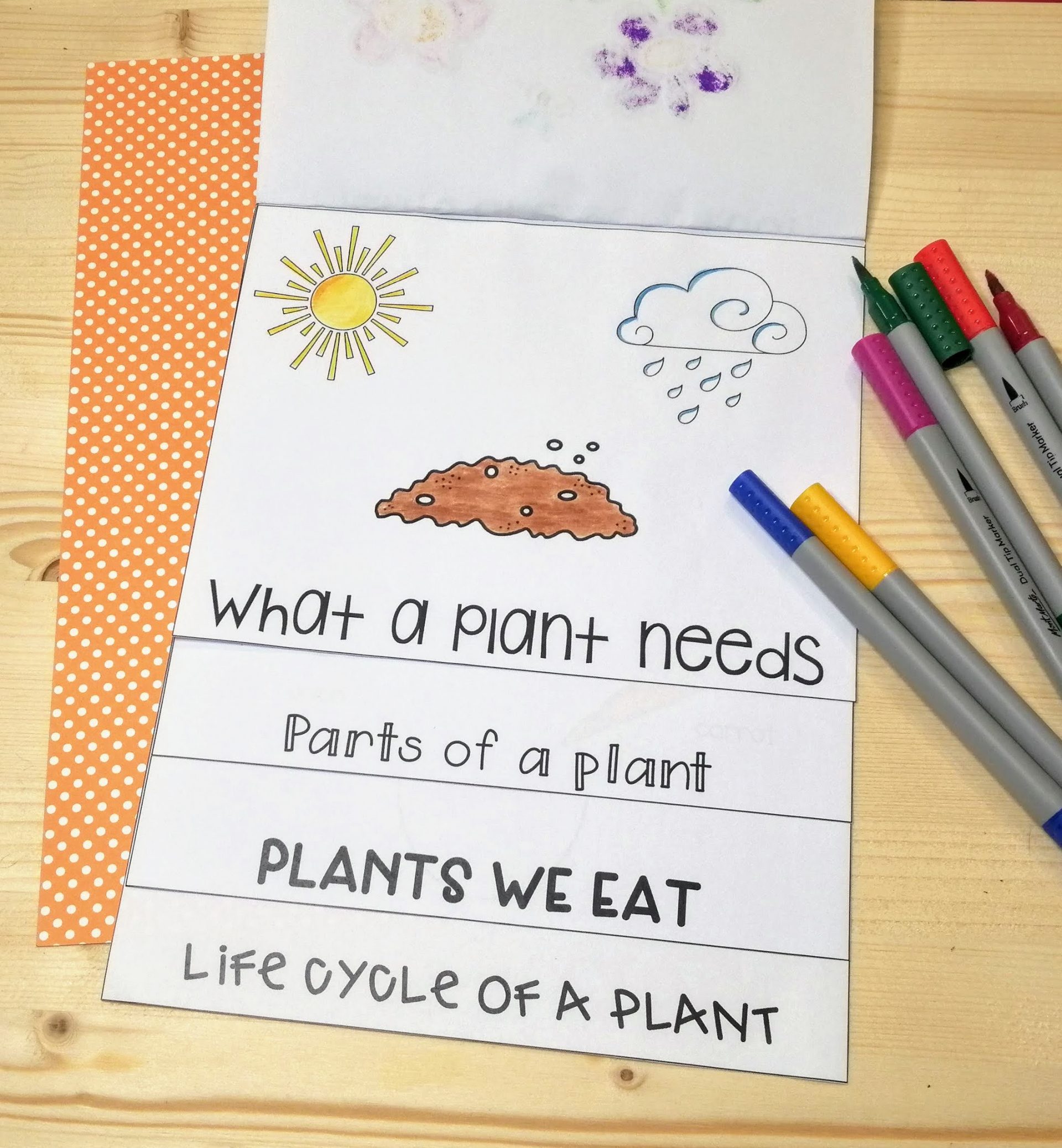 THE TINY SEED ACTIVITIES - NBpreKactivities
