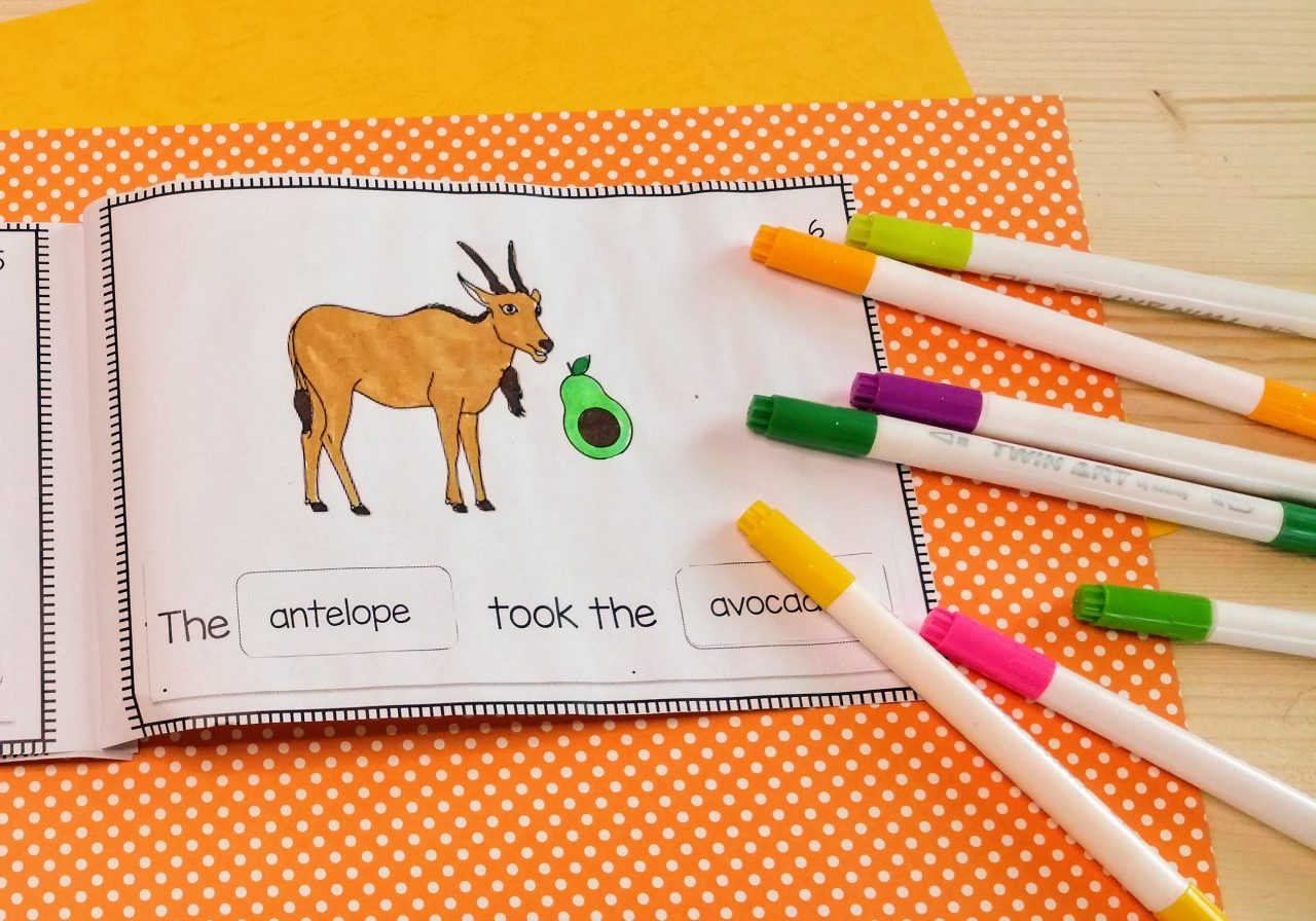 Handa's Surprise EMERGENT READER - NBpreKactivities