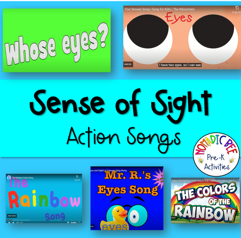 sense of sight Activities - NBpreKactivities