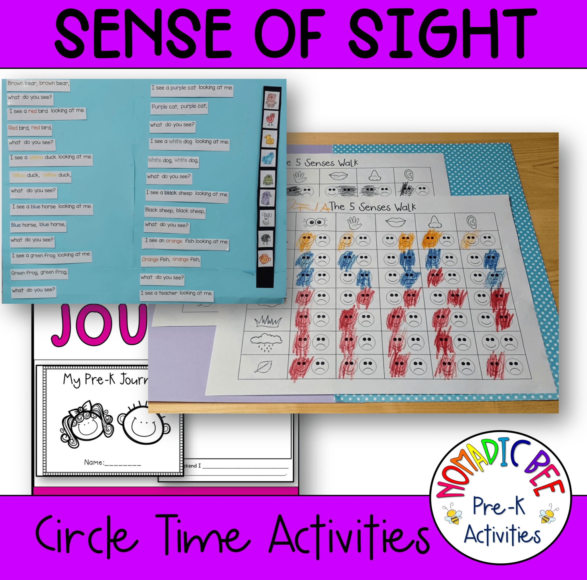 Sense of Sight Printables - NBpreKactivities