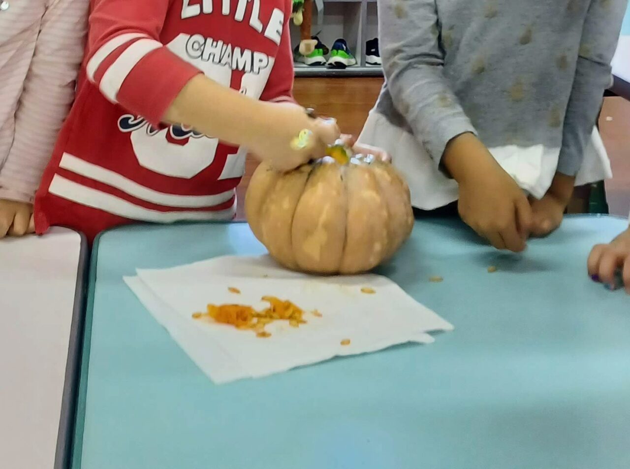 Halloween Themed Pumpkin Sorting - NBpreKactivities