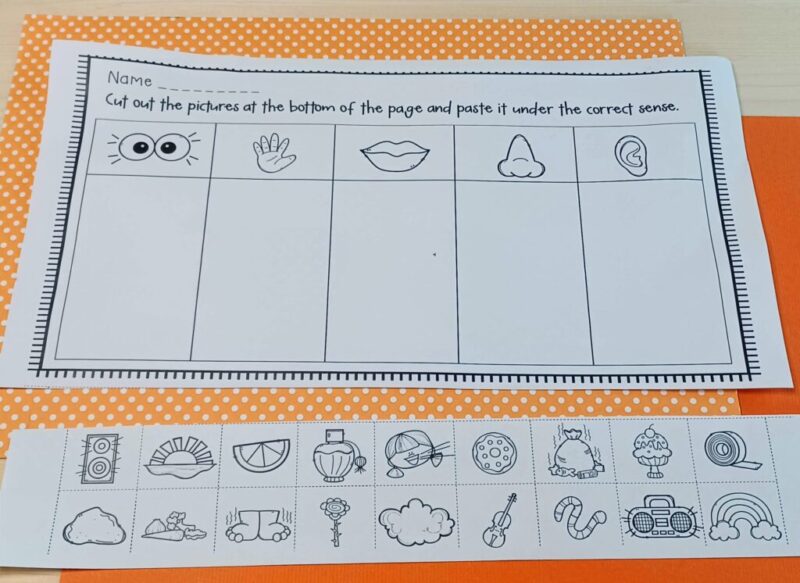 The 5 Senses Sorting Activity - NBpreKactivities