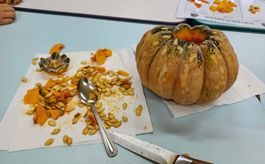Halloween Themed Pumpkin Sorting - NBpreKactivities