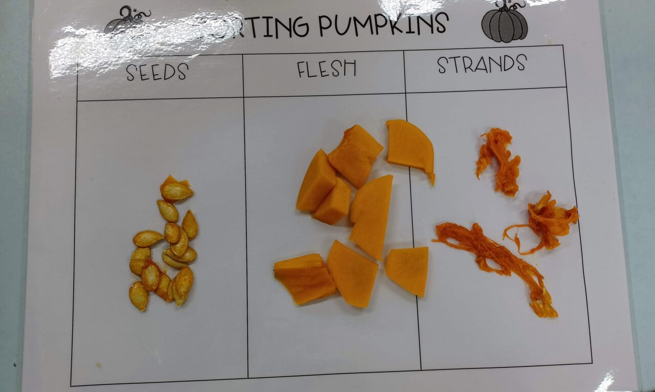 Halloween Themed Pumpkin Sorting - NBpreKactivities