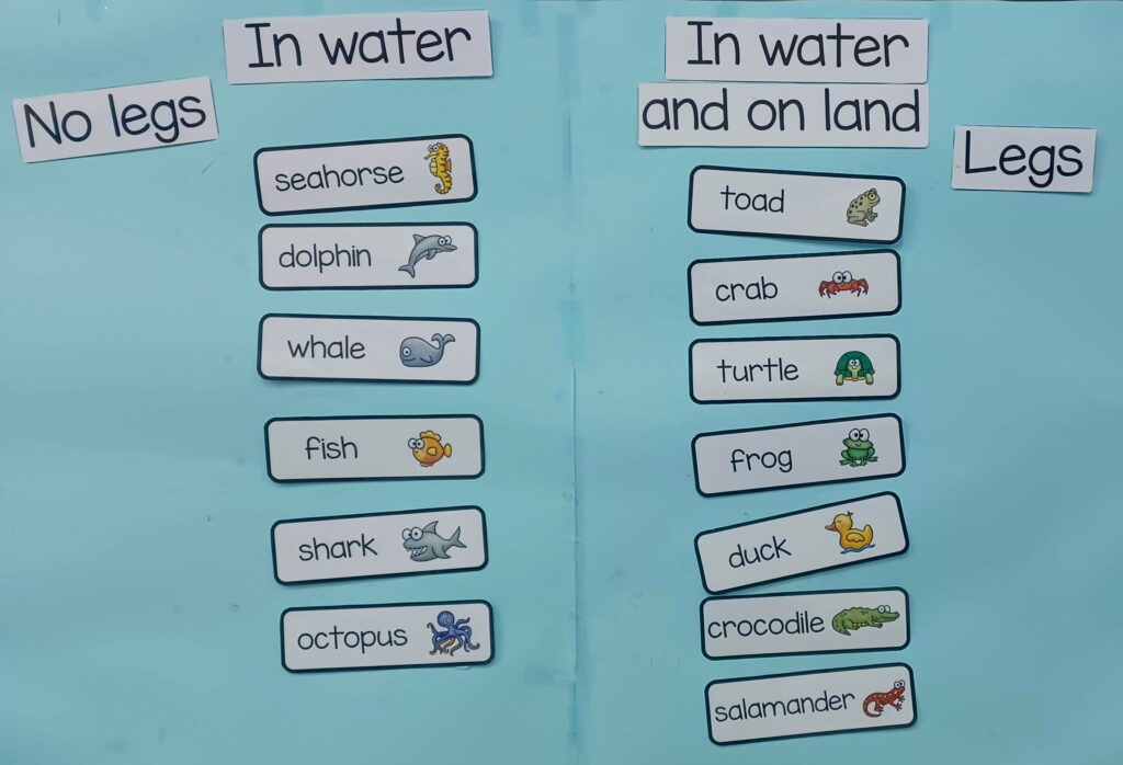 Water & Land Animals Sorting Activity - NBpreKactivities
