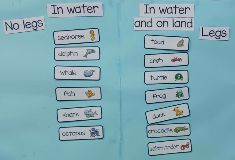 Water & Land Animals Sorting Activity - NBpreKactivities