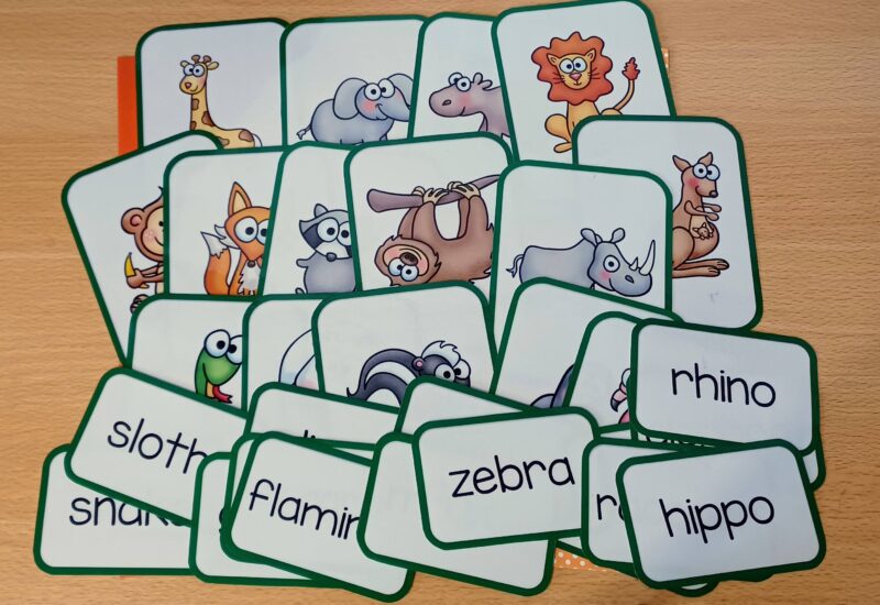 Zoo animals themed Word & Picture Cards - NBpreKactivities