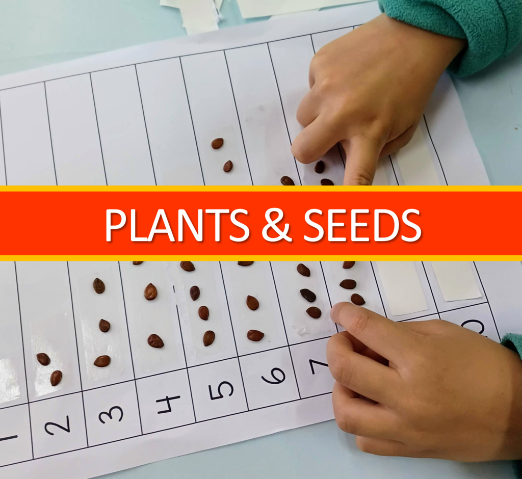 Nature Themed Activities - NBpreKactivities