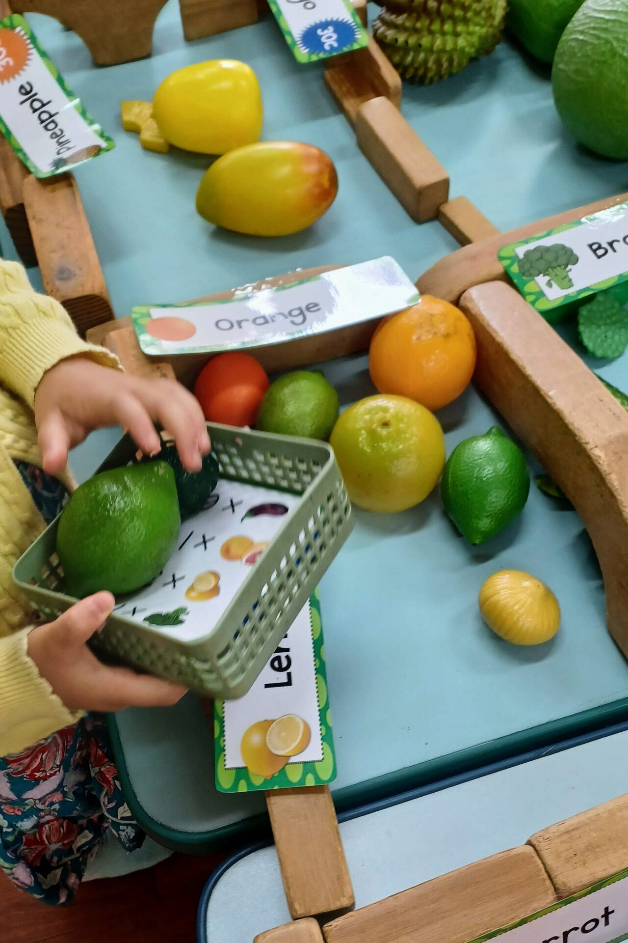 Fruits & Veggies Themed Dramatic Play Set - NBpreKactivities