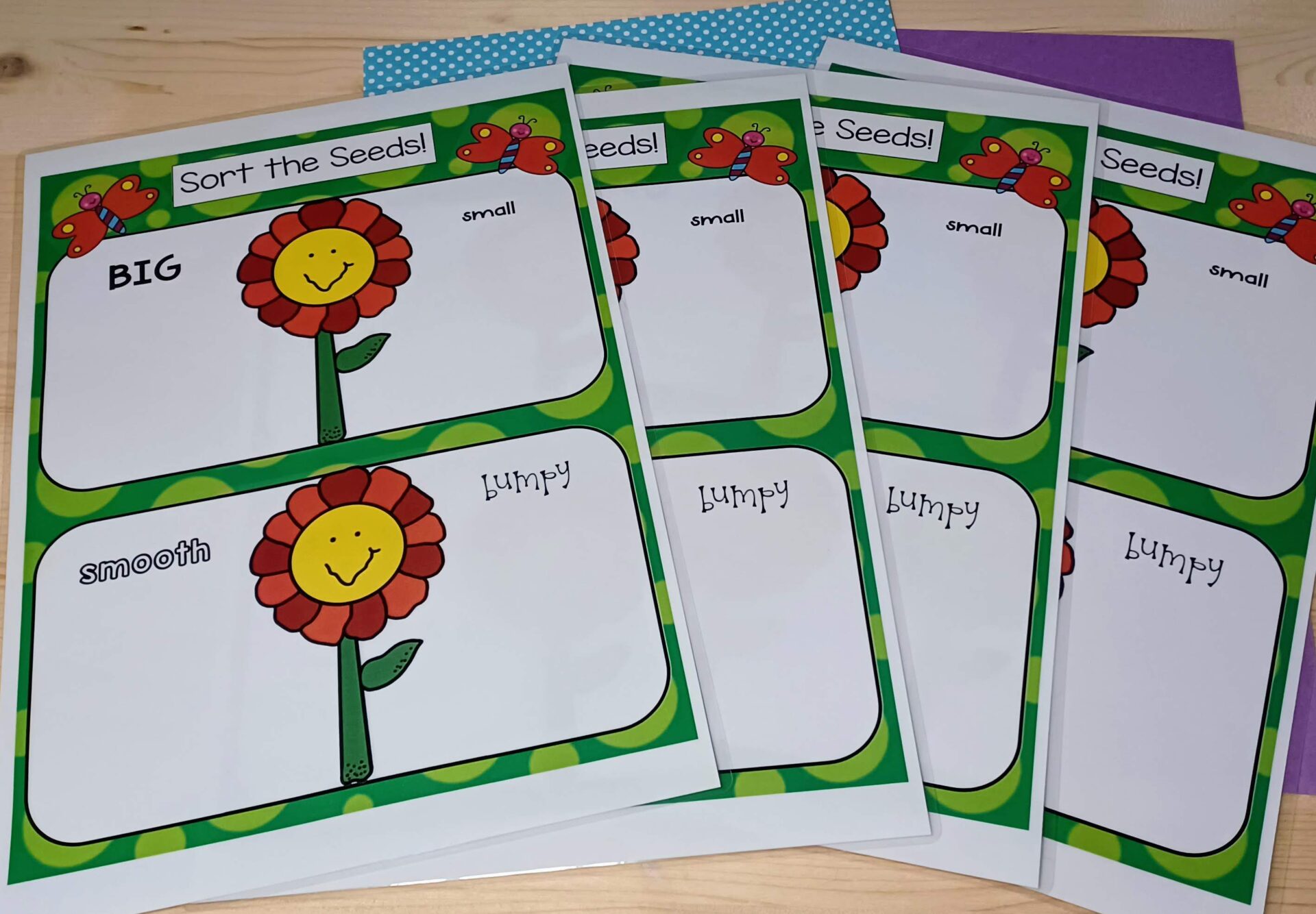 Seed Sorting Center - NBpreKactivities