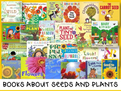 Seeds & Plants Themed Booklist for kids - NBpreKactivities