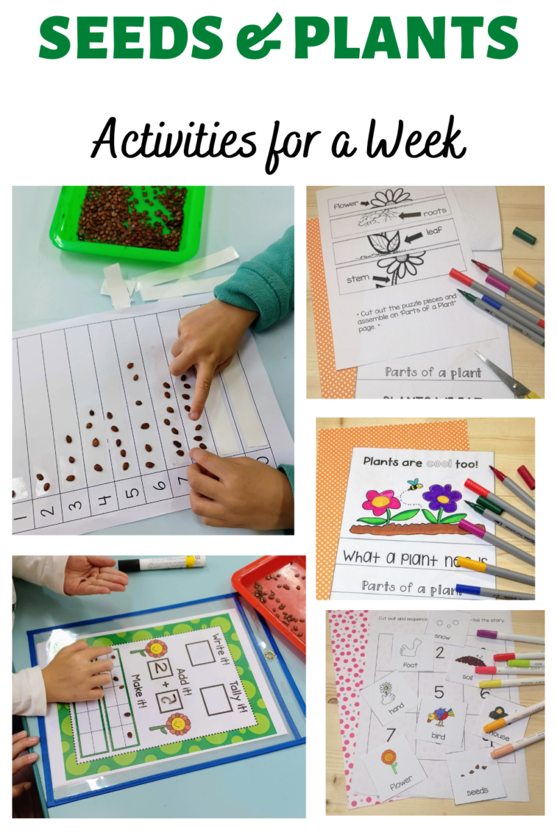 Seeds & Plants Themed Activities - NBpreKactivities