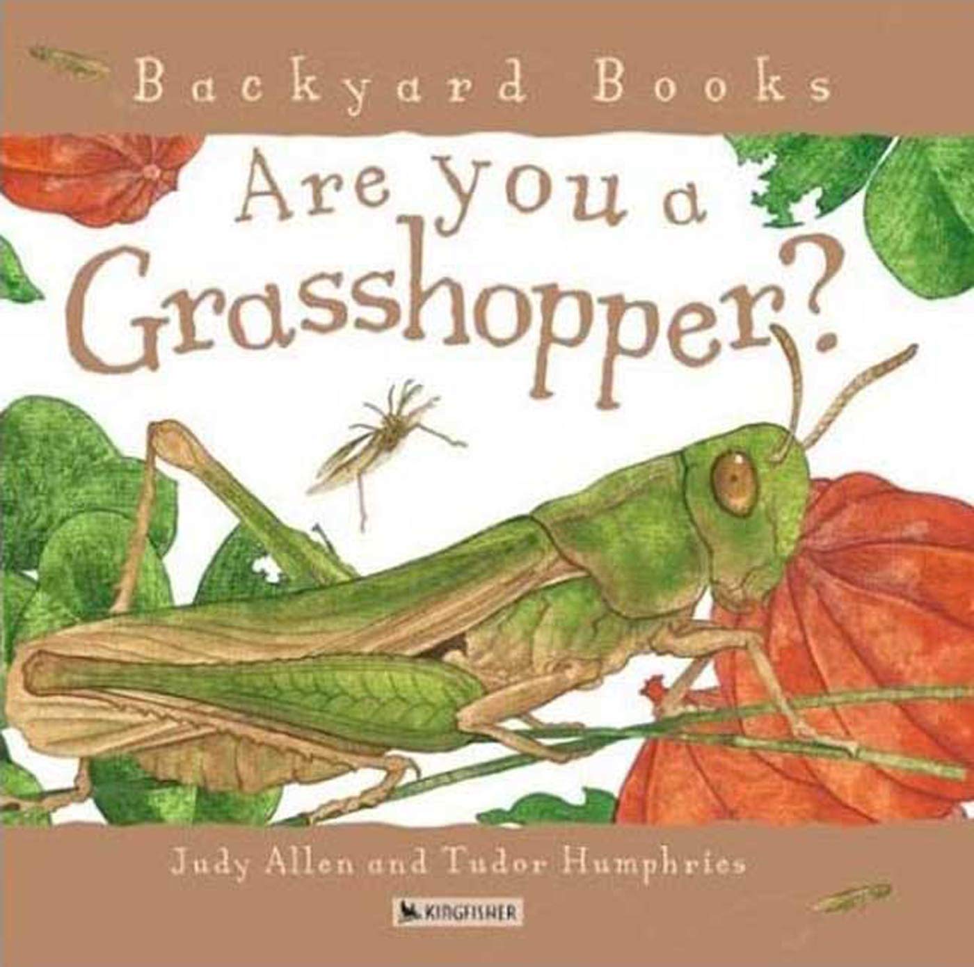 Insects Themed Booklist for kids - NBpreKactivities