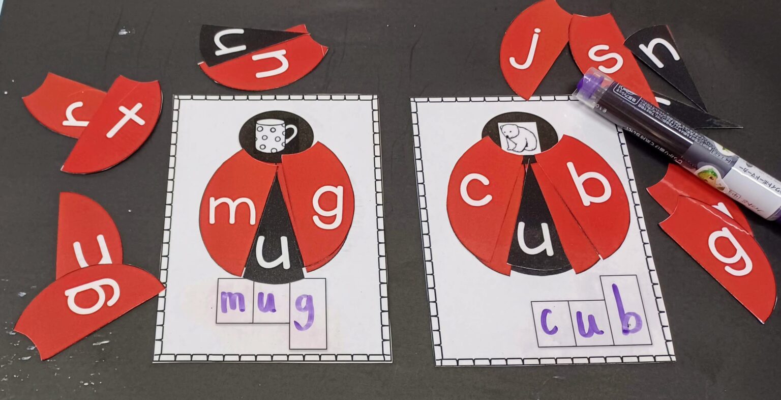 Ladybug Themed CVC Words Center - NBpreKactivities