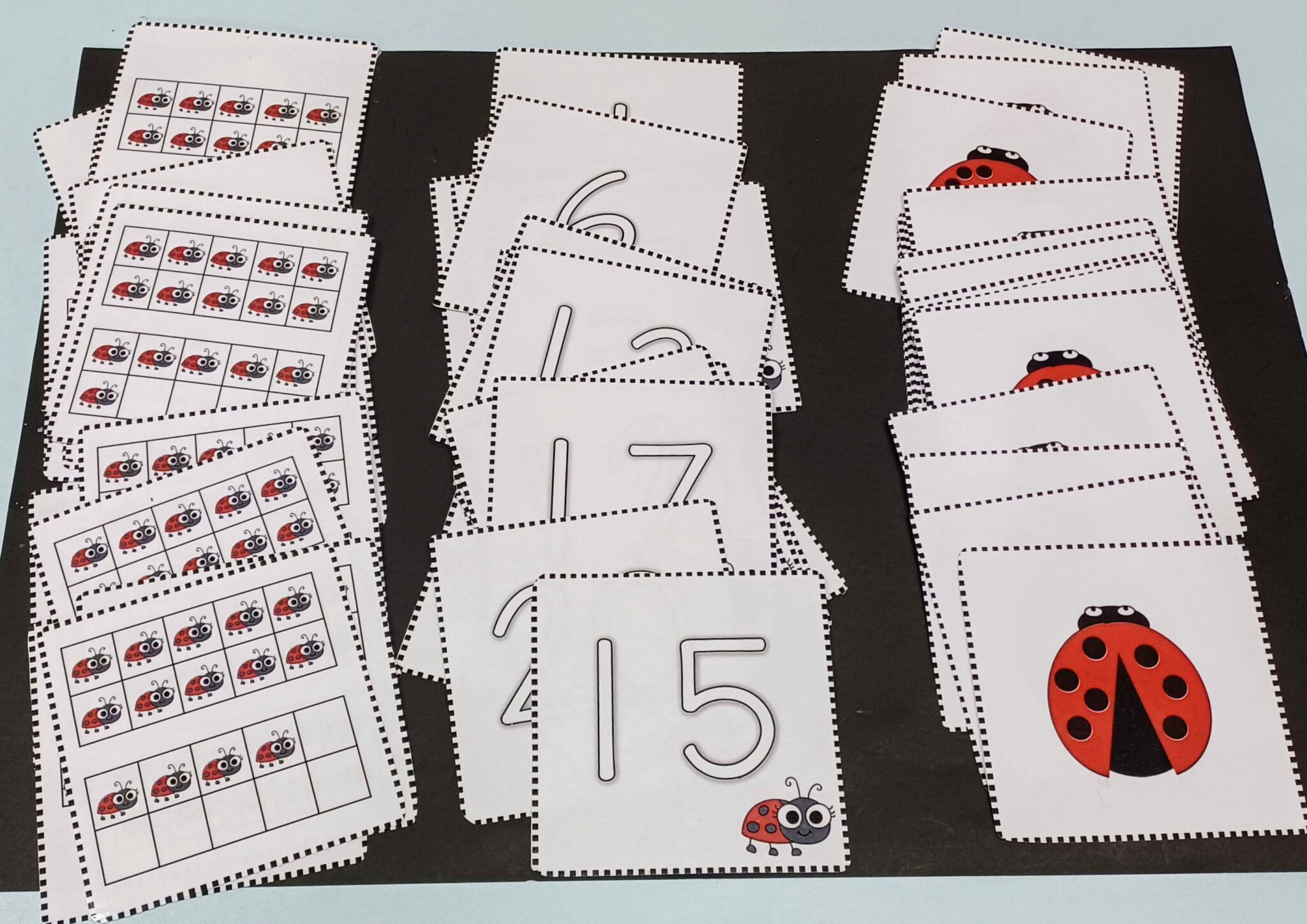 Ladybug Themed Matching Math Center - NBpreKactivities