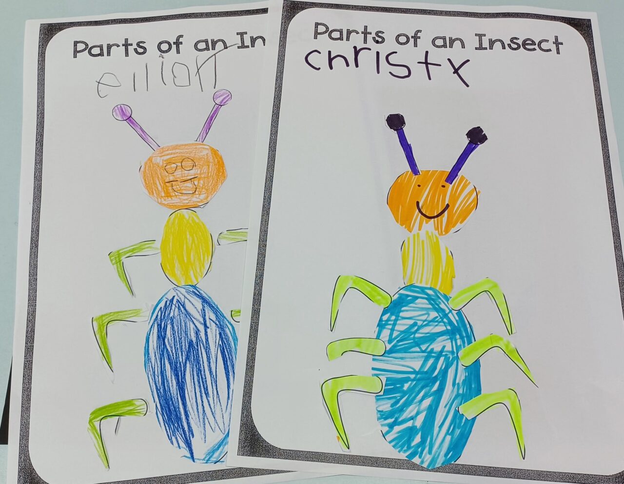 Parts of an Insect Cut-and-Paste - NBpreKactivities