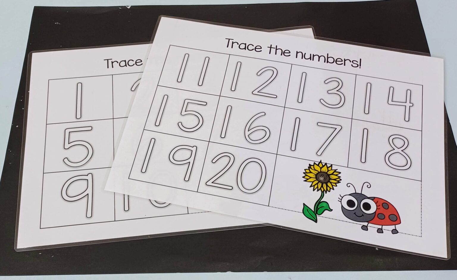 Ladybug Themed Trace the Numbers Activity - NBpreKactivities