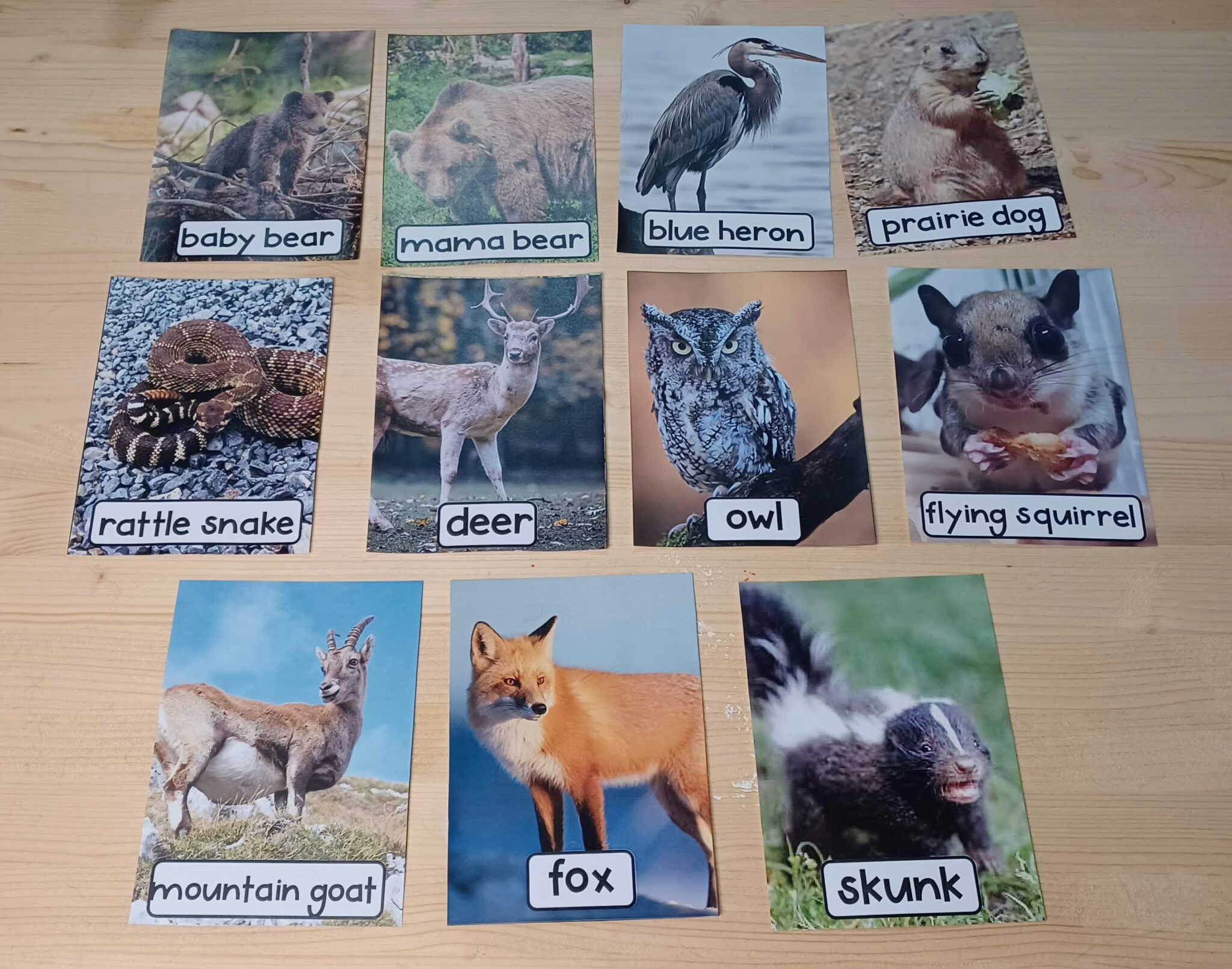 Baby Bear, Baby Bear Book Extension Activities - NBpreKactivities