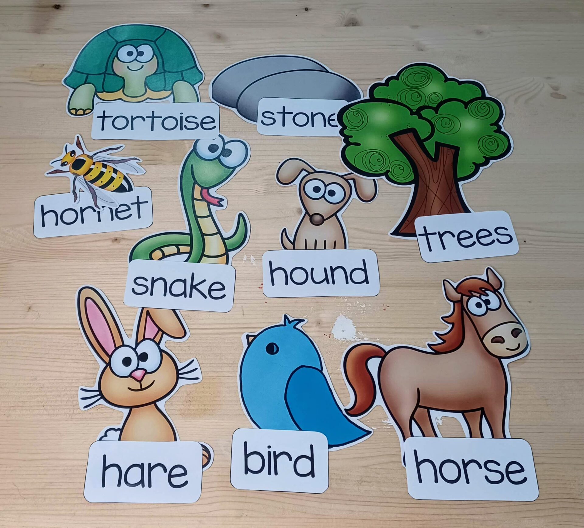 The Foolish Tortoise Book Extension Activities - NBpreKactivities