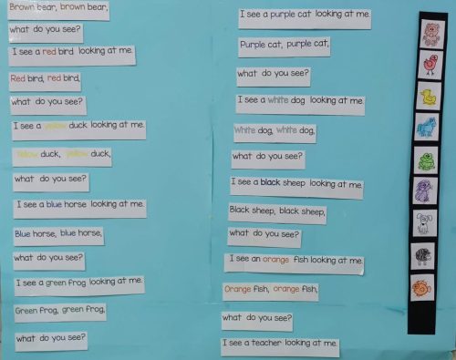 sense of sight Activities - NBpreKactivities