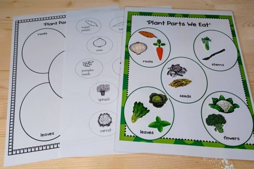 Fruits & Veggies Themed Activities - NBpreKactivities