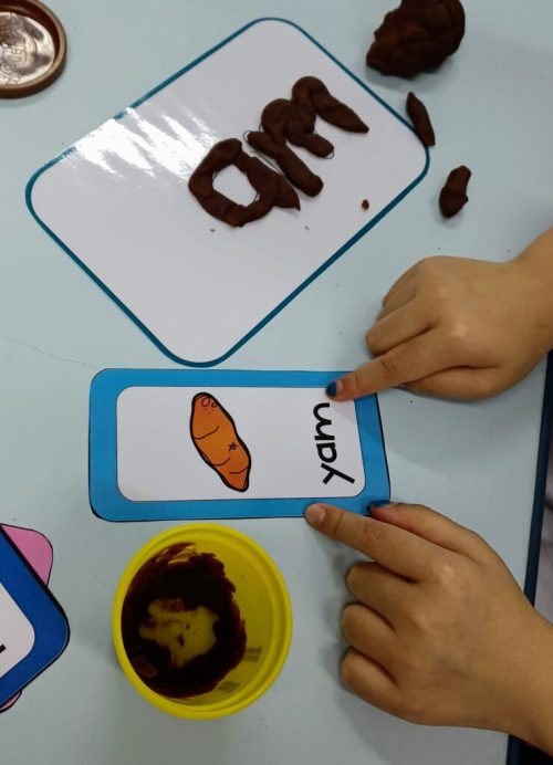 CVC Word Families - NBpreKactivities