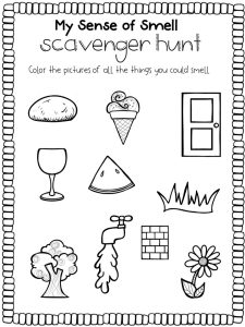 Sense of Smell Scavenger Hunt - NBpreKactivities
