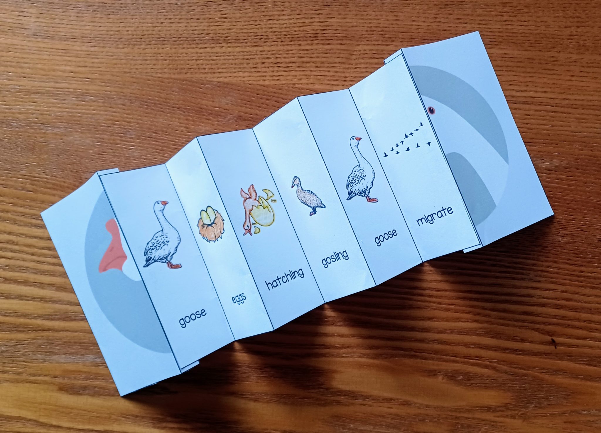 Mother Bruce Activities - NBpreKactivities